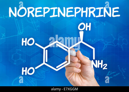 Structural chemical formula of hormone noradrenaline or norepinephrine ...