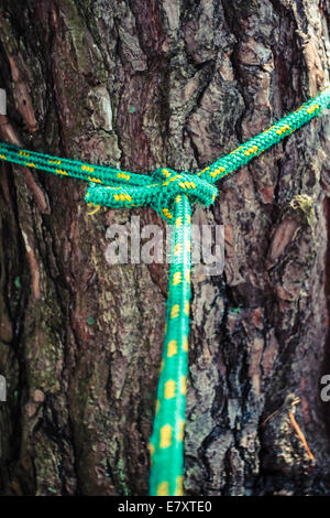 Rope tied on the tree Stock Photo - Alamy