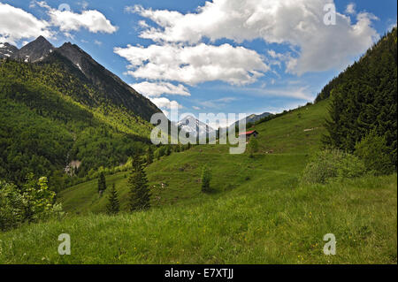 Alpine pasture, mountain landscape near Hinterstein, Allgäu, Bavaria ...