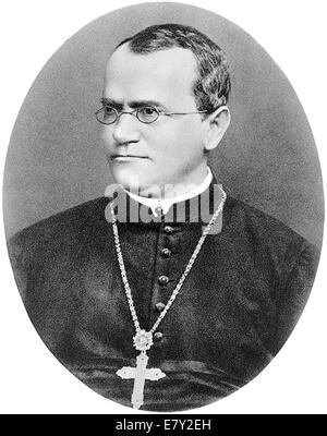 GREGOR MENDEL (1822-1884) Augustinian friar, biologist and ...