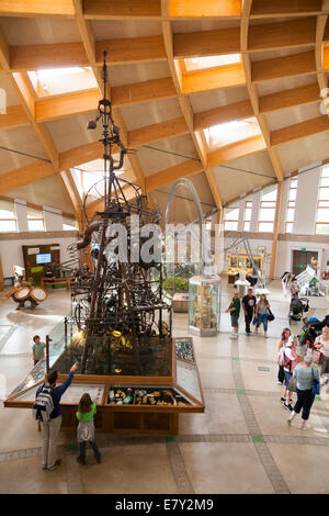 Interactive displays inside The Core education building at The Eden ...