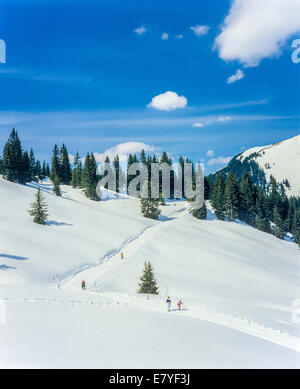 Skiers Morgins ski resort Swiss Alps Valais Switzerland Stock Photo - Alamy