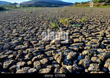 Dry Parched earth from California drought Stock Photo - Alamy
