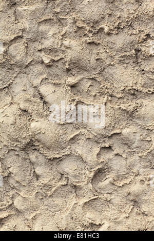 Plaster texture close-up Stock Photo - Alamy