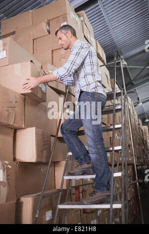 Warehouse worker loading up a pallet Stock Photo - Alamy