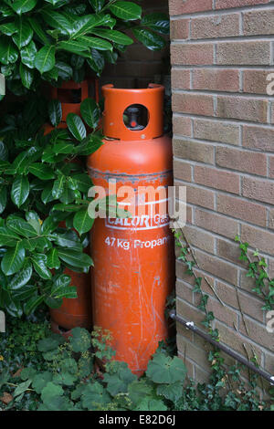 Domestic Calor Gas propane storage tank, UK Stock Photo - Alamy