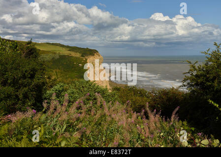 Ecclesbourne glen, Hastings Country Park Nature Reserve at sunrise East ...