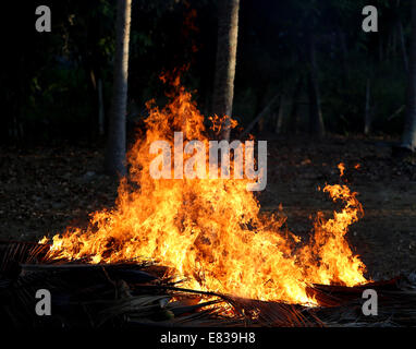 Beautiful bright fire flames on white background Stock Photo - Alamy