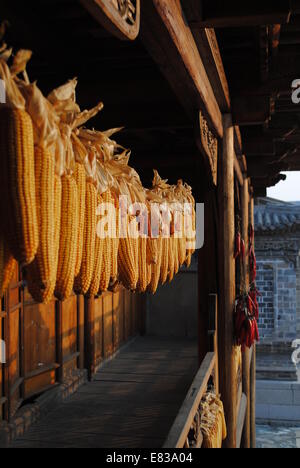 Drying corn in the sun Stock Photo - Alamy