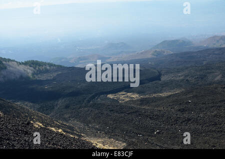 Volcanic cone and hardened lava field covered with sparse shrubs in ...