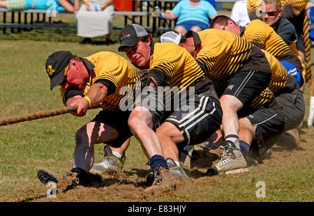 Tug of war,rope pulling,a sport that pits two teams against each other ...