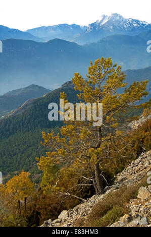 Pyrenees mountain range Stock Photo - Alamy