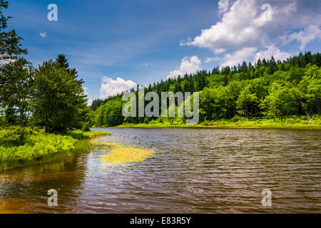 Pendleton Lake, at Blackwater Falls State Park, West Virginia Stock ...