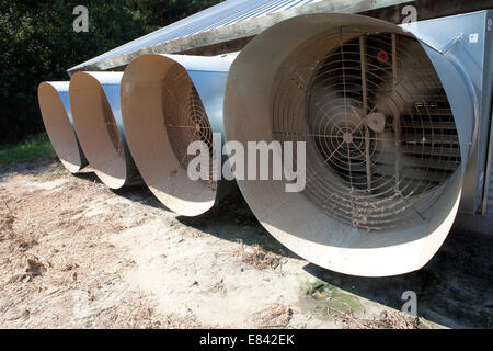 Four large air conditioning units on industrial farm poultry shed ...