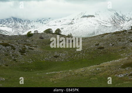 A doline or swallow-hole on limestone in Gran Sasso National Park ...