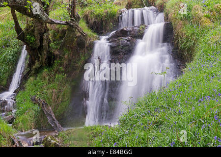 Waterfall at Inversnaid RSPB Reserve on shores of Loch Lomond Scotland ...