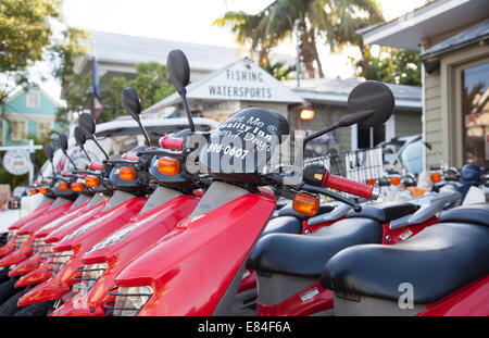Red mopeds and scooter for rent in Key West the Florida Keys Stock ...