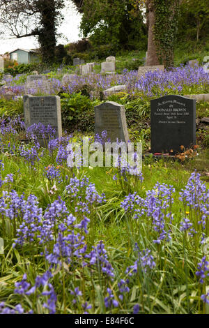 UK, England, Devon, Georgeham, Henry Williamson blue plaque outside ...