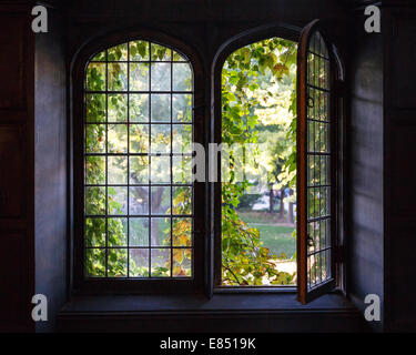 Light spills through a half-open window at a university building in ...