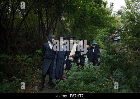 Followers of the Breslov Hasidic Jewish movement make a yearly ...