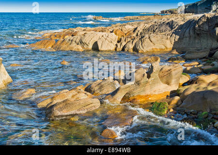 MORAY COASTLINE SCOTLAND NEAR HOPEMAN GOLDEN SANDSTONE CLIFFS WITH ...