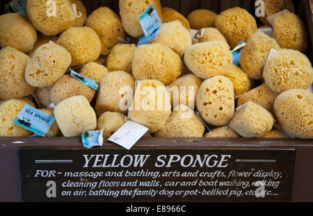 Yellow sponges for sale in Key West the Florida Keys Stock Photo - Alamy