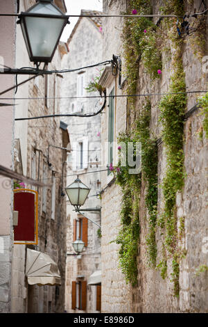 A vertical shot of a narrow street with buildings in Morcone in the ...