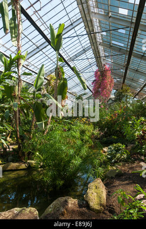 Butterfly house, Calgary, Alberta, Zoo Stock Photo - Alamy