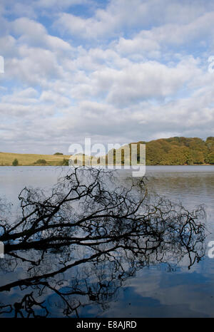 talkin tarn country park Stock Photo - Alamy