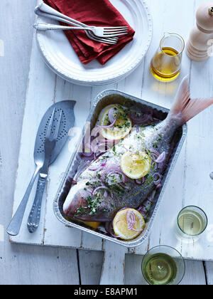 Overhead view of a red snapper fish on a garden wall, Seychelles Stock ...