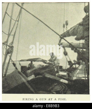 This 1898 illustration depicts a scene of firing at a fish under the ...