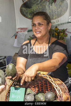 guacamole, Carpinteria Avocado Festival, Carpinteria, California Stock ...