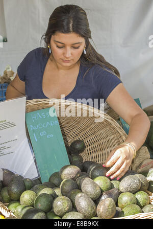 guacamole, Carpinteria Avocado Festival, Carpinteria, California Stock ...