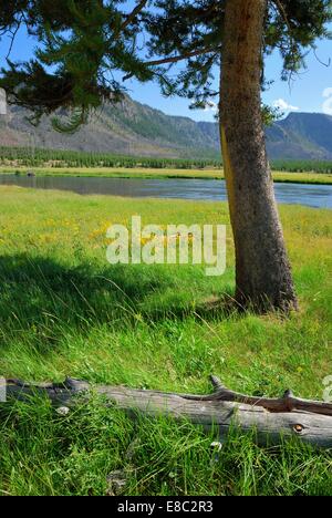 Views along the Gallatin river on the northwest side on Yellowstone ...