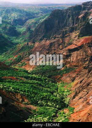 Hawaii, known for its tropical landscapes and vibrant culture, is ...