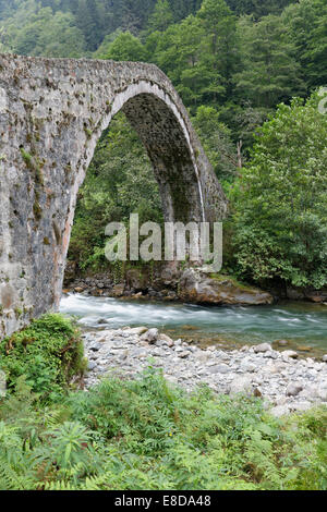 Arch bridge over the river Fırtına, Firtina Valley, Rize Province ...