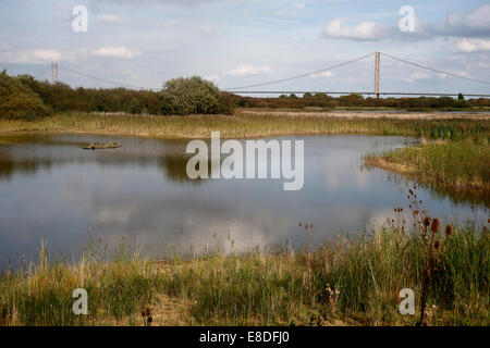 Far Ings RSPB reserve, Lincolnshire, September 2014 Stock Photo ...