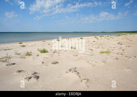 Singing sand at Luidja beach, Hiiumaa island, Estonia Stock Photo - Alamy