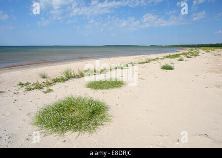 Singing sand at Luidja beach, Hiiumaa island, Estonia Stock Photo - Alamy