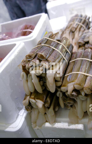 Razor Clams on display in Billingsgate Fish Market, London Stock Photo ...
