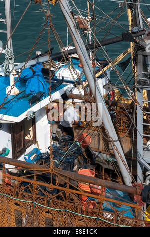 Brixham fishing fleet,brixham trawler fleet,koden,UK vessels landed £ ...
