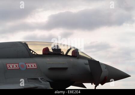 RAF Typhoon T1 29 R Squadron Eurofighter aircraft side view landing ...