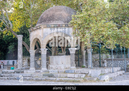 The Tree of Hippocrates Kos Stock Photo - Alamy