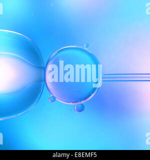 Image concept of in vitro fertilization assisted by microscope Stock ...