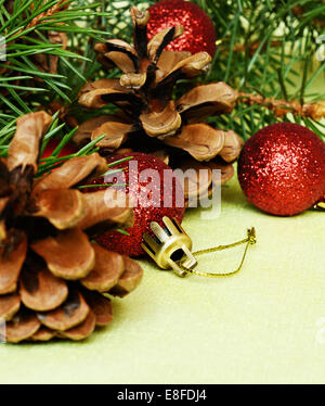 Branch of a Christmas tree with a red cone Stock Photo - Alamy