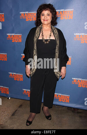 Opening night after party for A Raisin in the Sun at Tribeca Rooftop ...