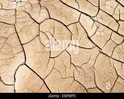 USA, Nevada, Cracked earth, Dried out land in drought Stock Photo - Alamy