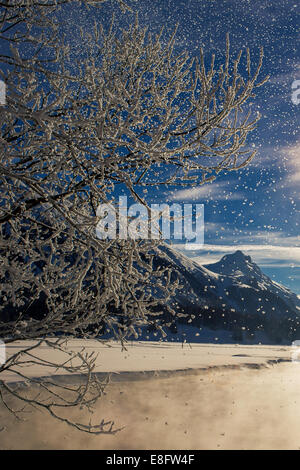 light Snow Falling Stock Photo - Alamy