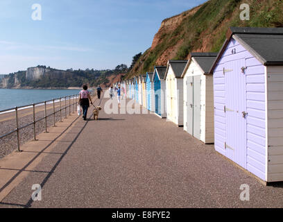 Seaton beach,seaton seafront,red cliffs,south devon,devon,south west ...