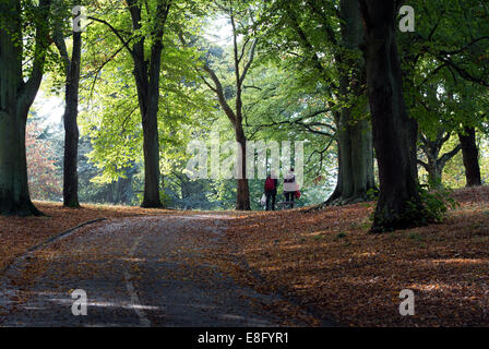 Brinton Park, Kidderminster, Worcestershire, England, UK Stock Photo ...